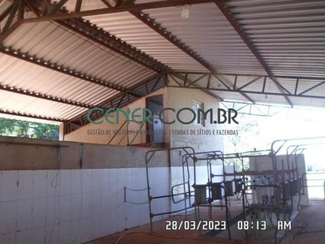 Extraordinária Fazenda Haras de 70 ha a 90 Km de Belo Horizonte