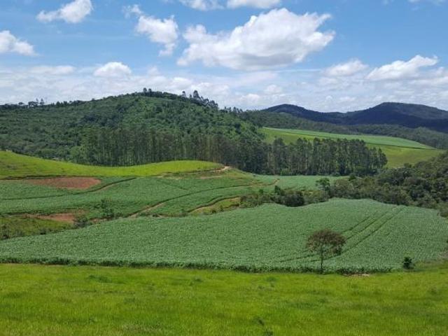 EXUBERANTE FAZENDA DE 121,7HA À VENDA EM SENHORA DE OLIVEIRA/MG