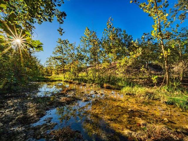 F M 2843, Salado, TX 76571