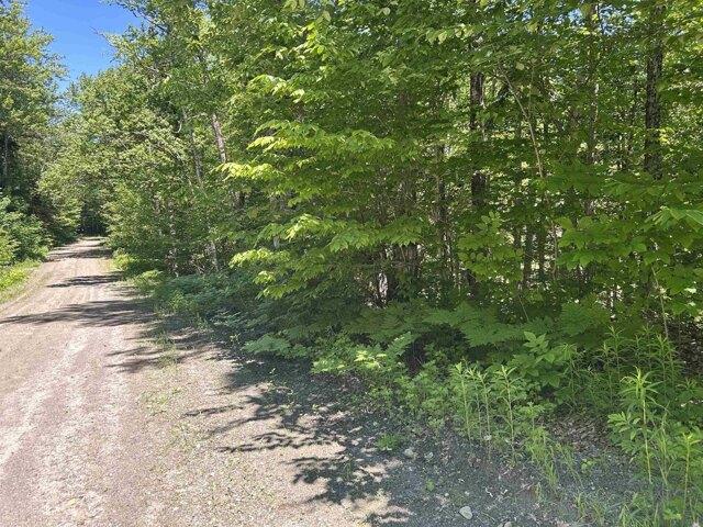 F Bourbon Run, Jamaica, Plot For Sale