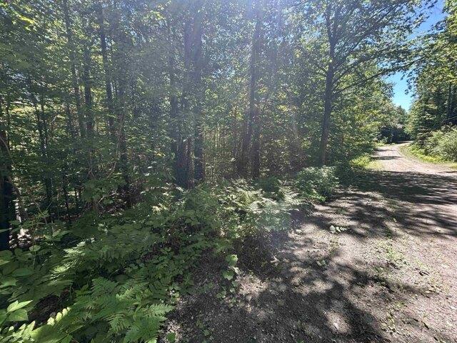 F Bourbon Run, Jamaica, Plot For Sale