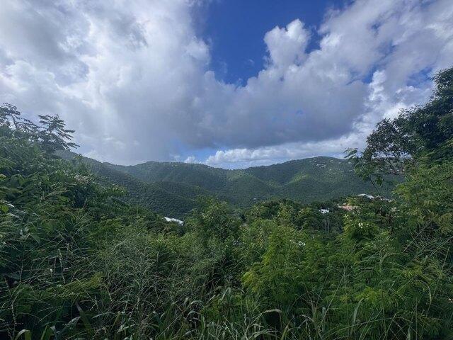 f Carolina, Saint John, Plot For Sale