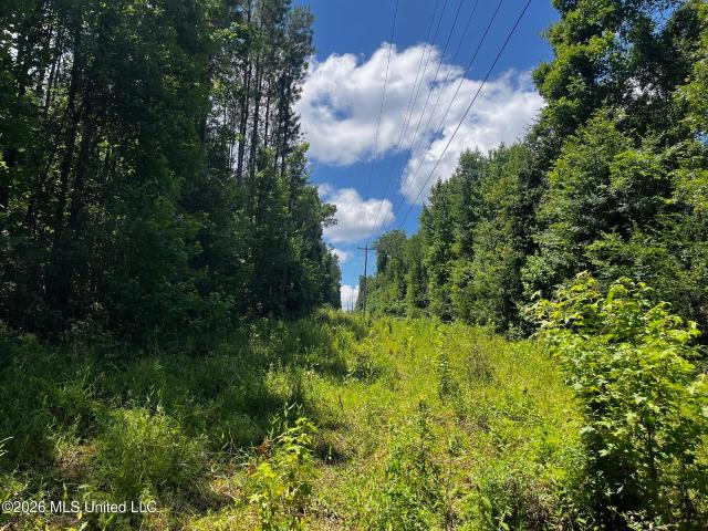 F E Sellers Highway, Monticello, MS 39654