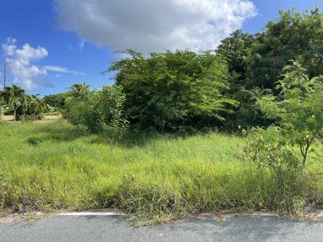 f Whim We, Saint Croix, Plot For Sale