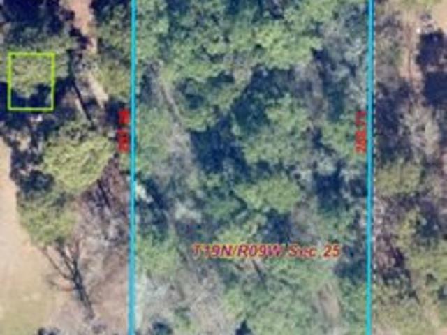 F 1 Normandie Ln, Minden, LA 71055