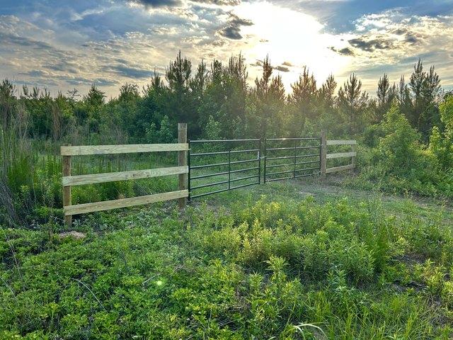 Fc Cox Rd, Hemingway, SC 29554