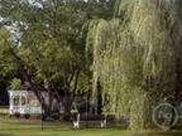 Fantastic 2 Bed 1 Bath Now Available $1675 Per Month