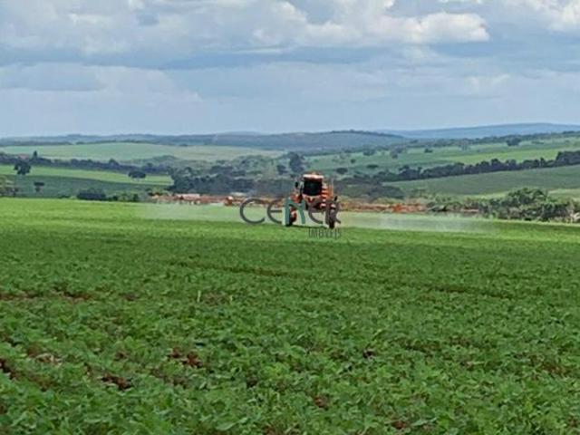 Fantástica fazenda de 195 ha em Lavouras Margens do Rio São Francisco
