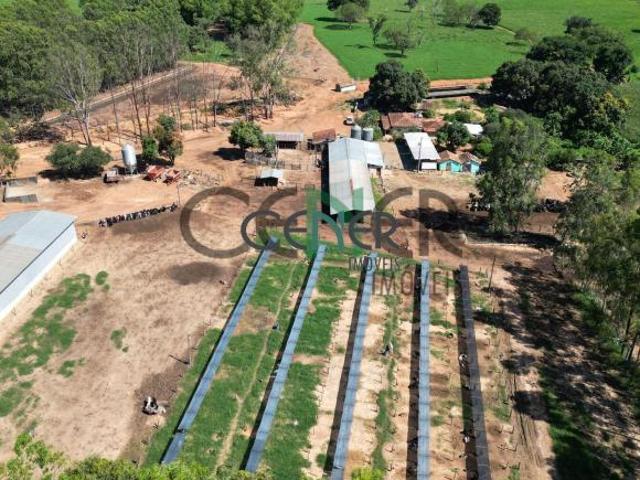 Fantástica fazenda de 820 ha, leite, lavouras, pecuária em M.Campos