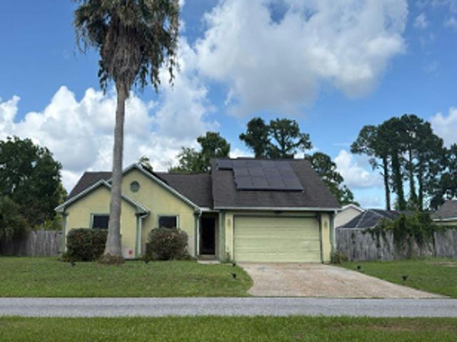 Fan Palm Pl
