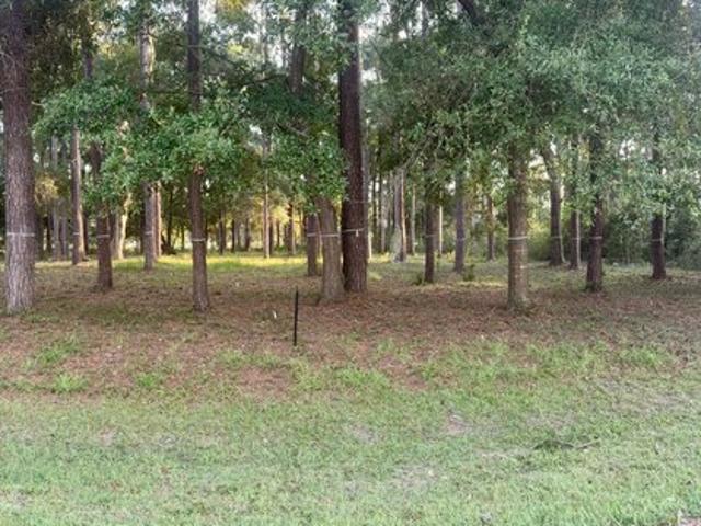 Fair Hope Dr NE Unit 72, Townsend, GA 31331