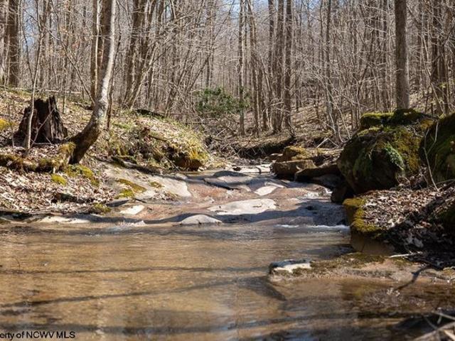 Fairfax Mine Rd Lot 1, Kingwood, WV 26537