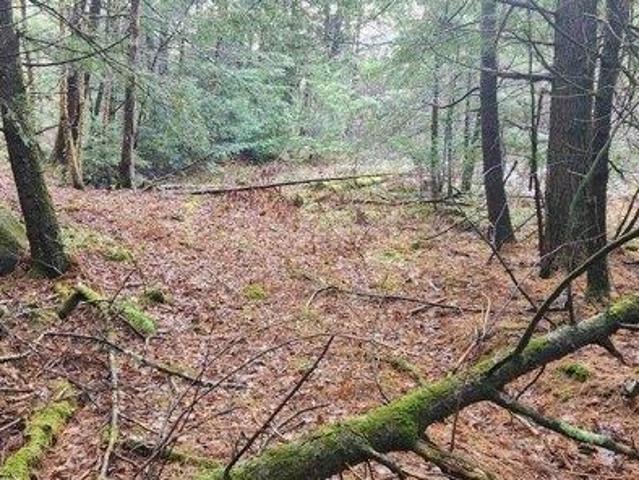 Fairfield VT 05455 103071475