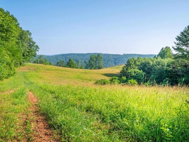 Fairhaven Dr, Dugspur, Plot For Sale