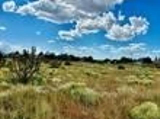 Fairly, Santa Fe, NM 87507