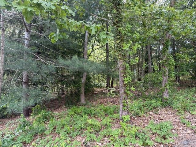 Fairmount Rd, Dennis, Plot For Sale