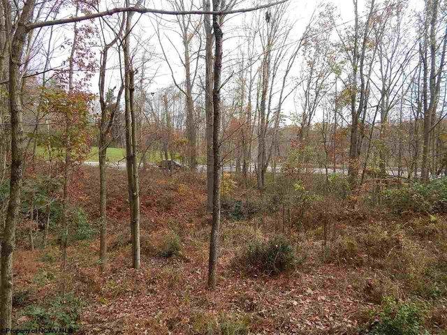 Fairmont Ave, Fairmont, WV 26554