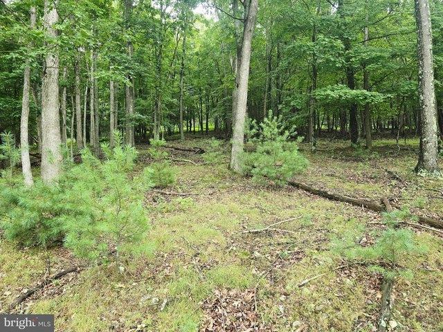 Fairway Ln Lot 21, Franklin, WV 26807