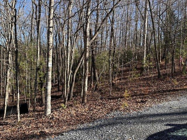 Fairview Dr Lot 19, Morganton, GA 30560