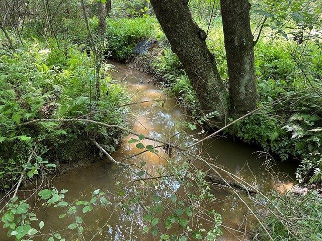 Fairview Dr Lot 30, Morganton, GA 30560