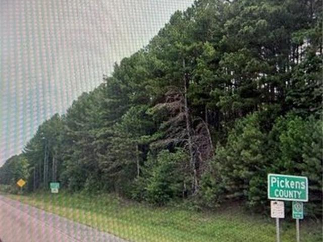 Fairview Rd, Ball Ground, GA 30107