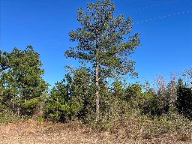 Fairview Rd, Marianna, FL 32448 | MLS #OK225485 | Compass