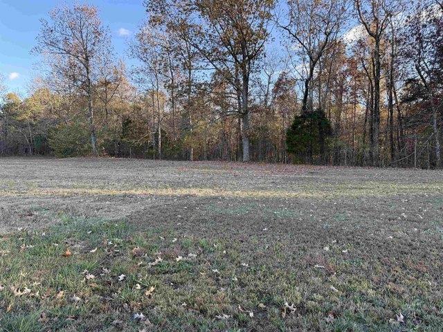 Falcon Cv Lot 13, Middleton, TN 38052