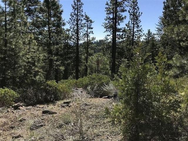 Falcon Rd, California Pines, CA 96101