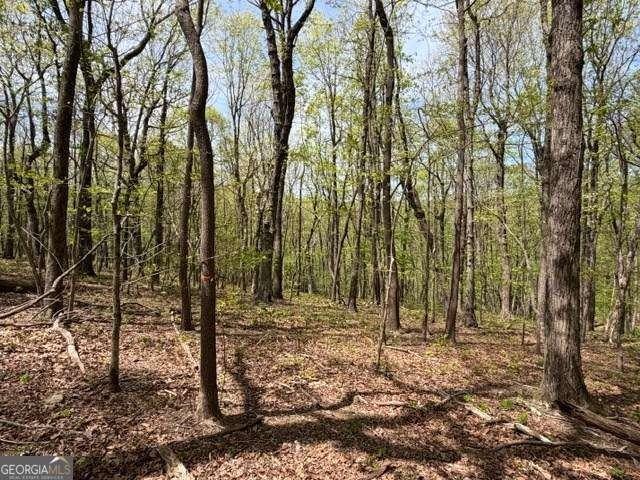 Falcons Nest Lot 26, Jasper, GA 30143