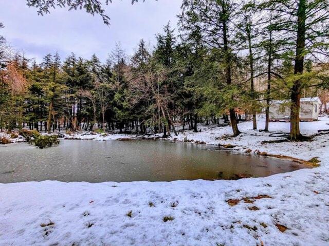 Fall Brook Rd, Troy, Home For Sale