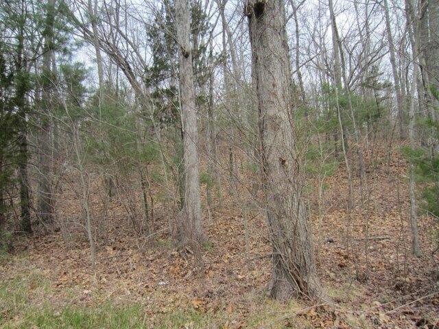 Fallbrook Rd, Killingly, Plot For Sale