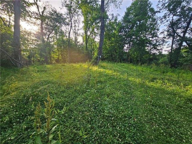 Fallen Timber Rd, Avella, PA 15312