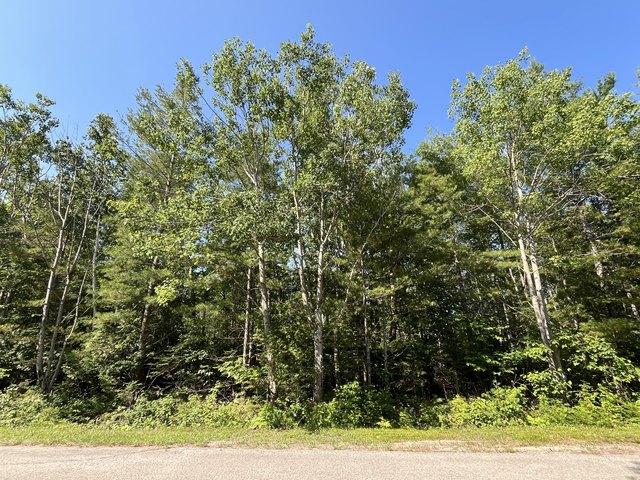 Fallen Timbers Dr Lot 327, Presque Isle, MI 49777