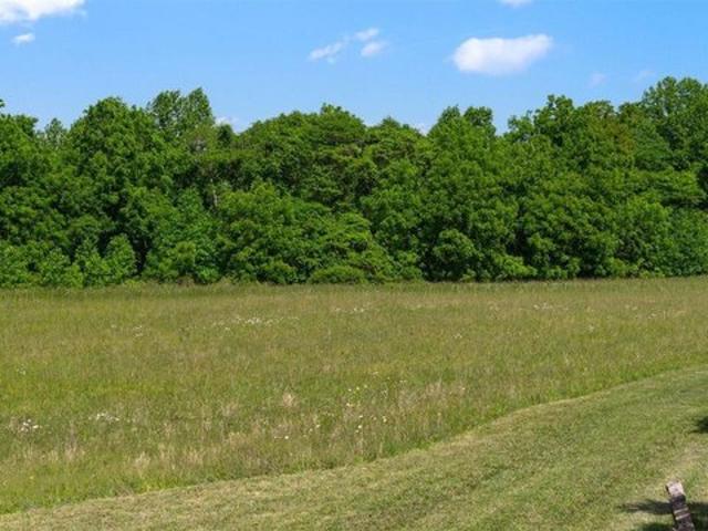 Falling Springs Church Rd, Bonnieville, KY 42713