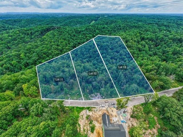 Falling Timber Dr, Pegram, TN 37143