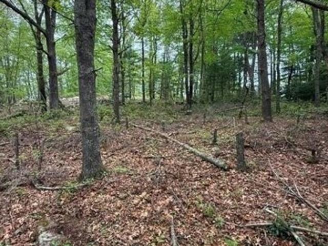 Fallon Trl, Westerly, Plot For Sale