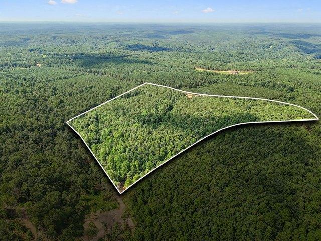 Falls Branch Rd Lot 3A, Duck River, TN 38454