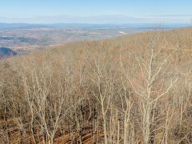Falls Parkway Retreat on White Rock Mtn Unit The, Caldwell, WV 24925