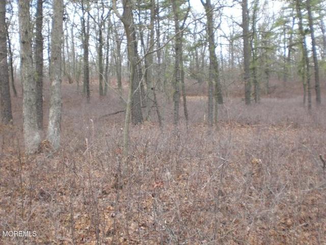 Falson Ln, Morganville, NJ 07751