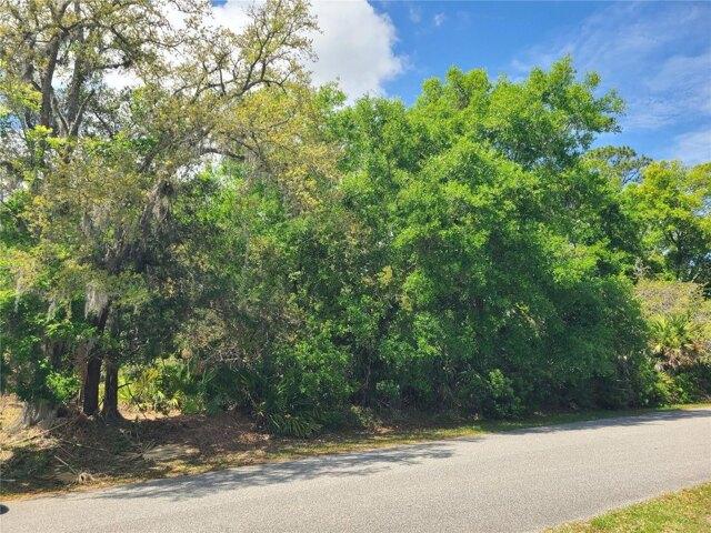 Farver Ln, Palm Coast, Plot For Sale