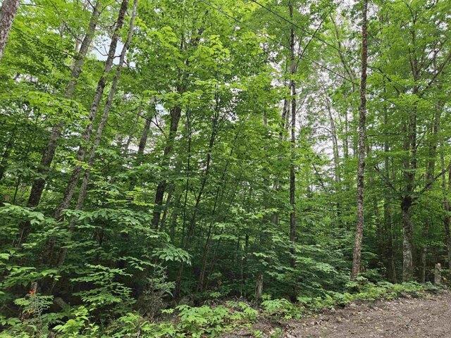 Faraway Rd Lot,dalton, Plot For Sale