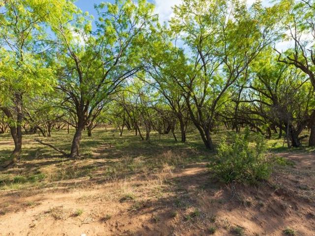 Farm Market 600 Hwy, Haskell, TX 79521