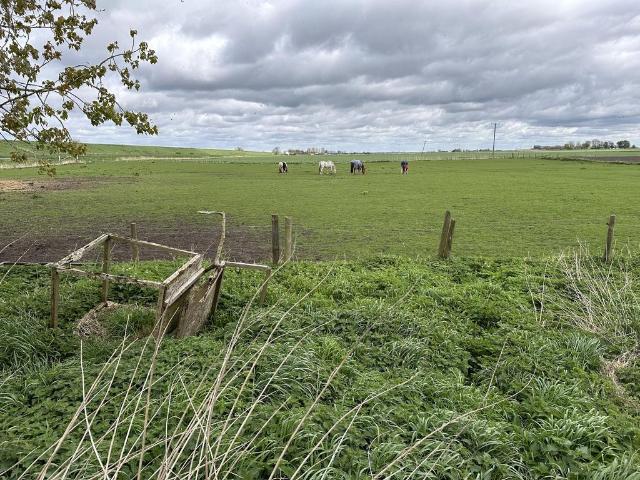 Land for sale