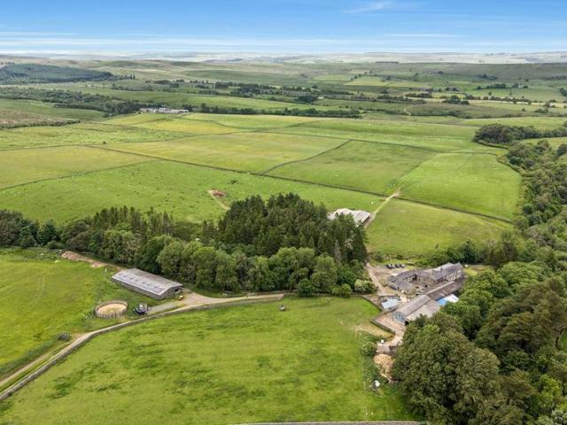 Farm for sale