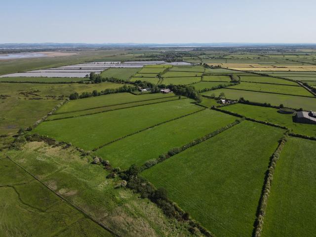 Farm for sale