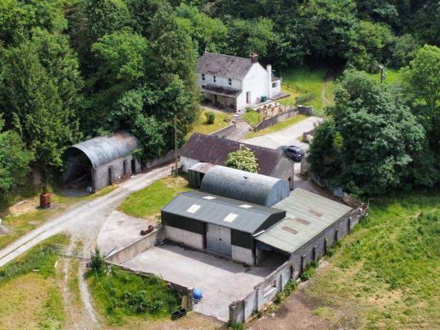 Farm for sale