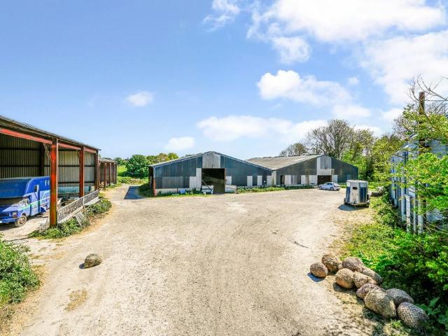 Farm for sale