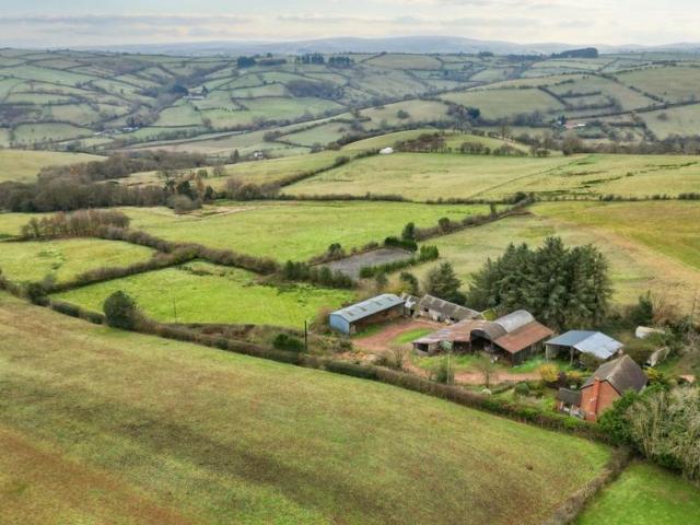 Farm for sale
