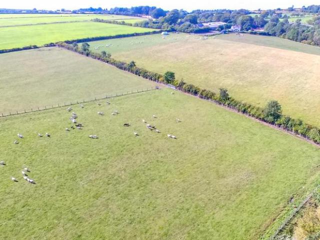 Farm for sale