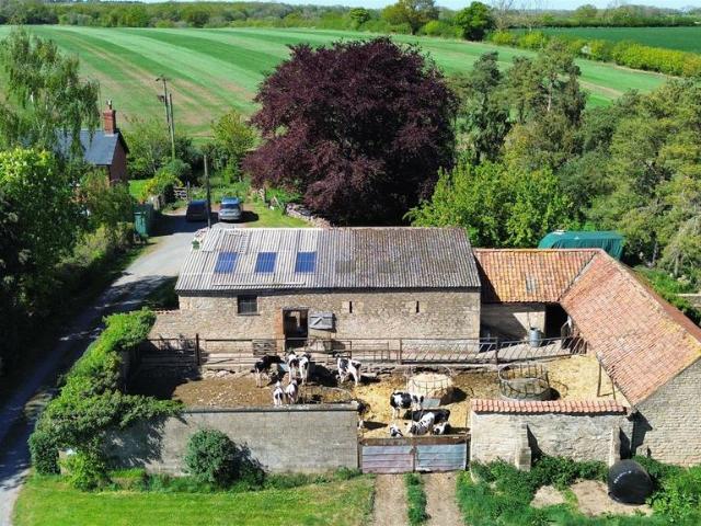 Farm for sale